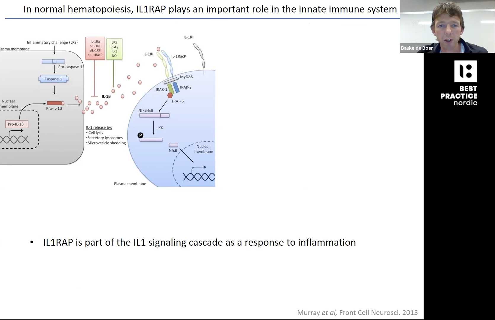 AML: Blocking the IL1-IL1RAP signaling axis might promote normal ...