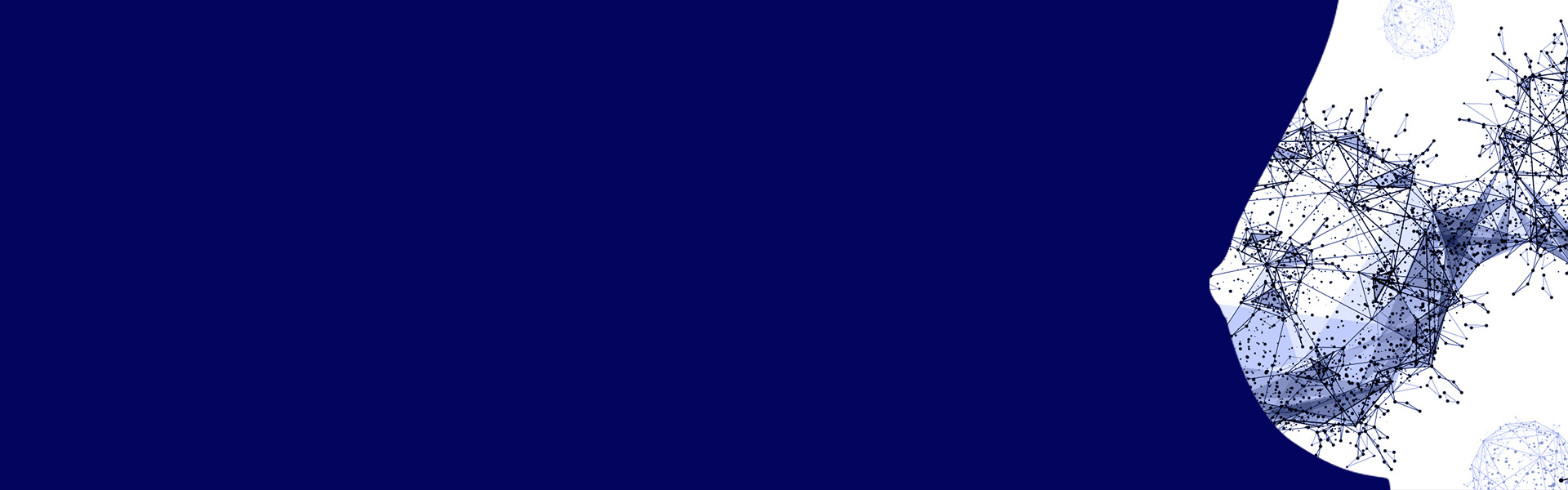 Nordic Breast Cancer Network Webinar 2025 - BestPractice Nordic